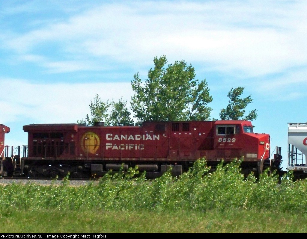 CP 8529